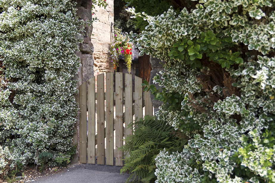 Dome ledged & braced path gate | Grange Fencing